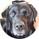 York Boutique Lets - Corporate and Holiday Lets in York